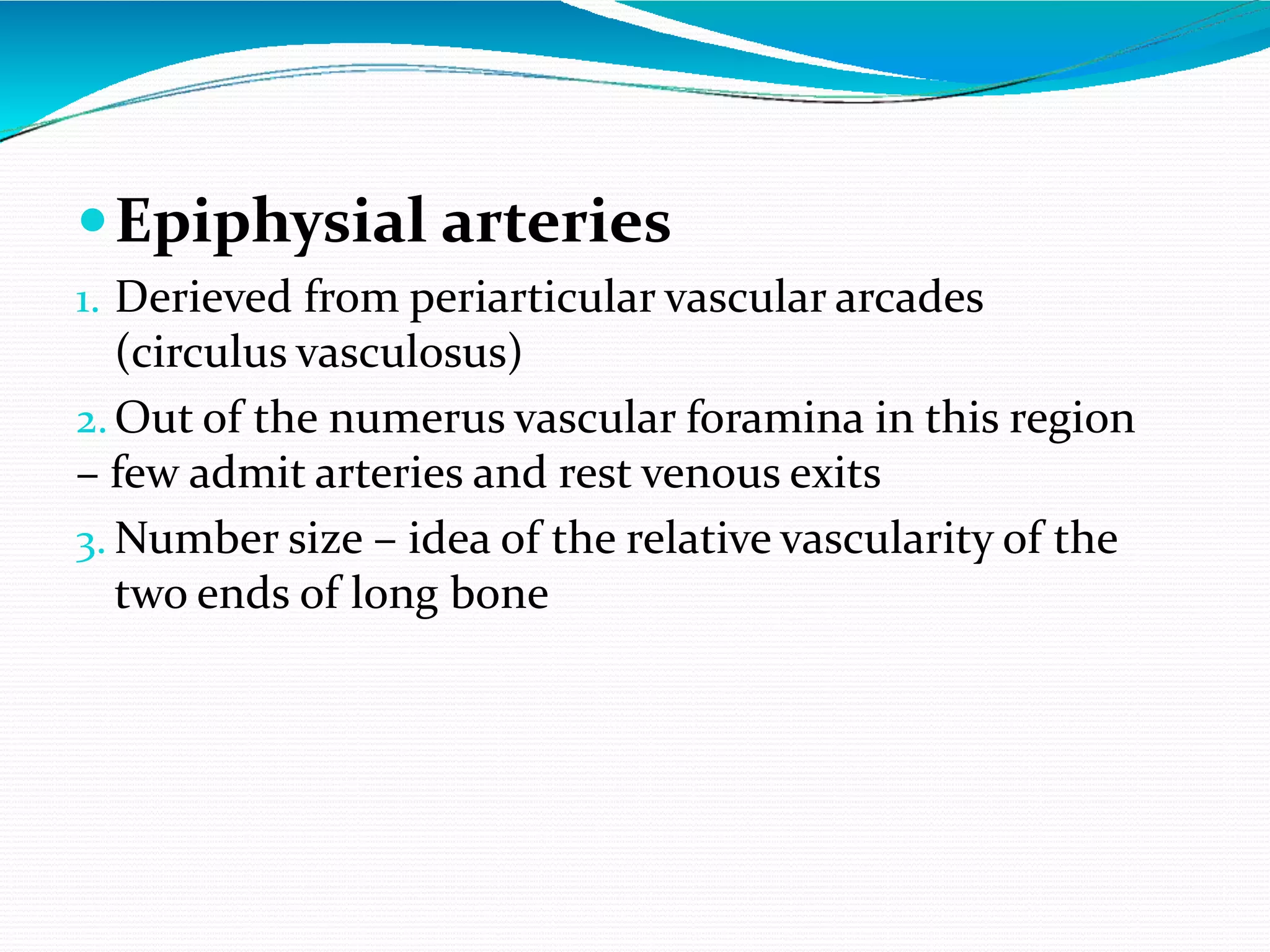 Anatomy of Bone and Cartilage | PPT