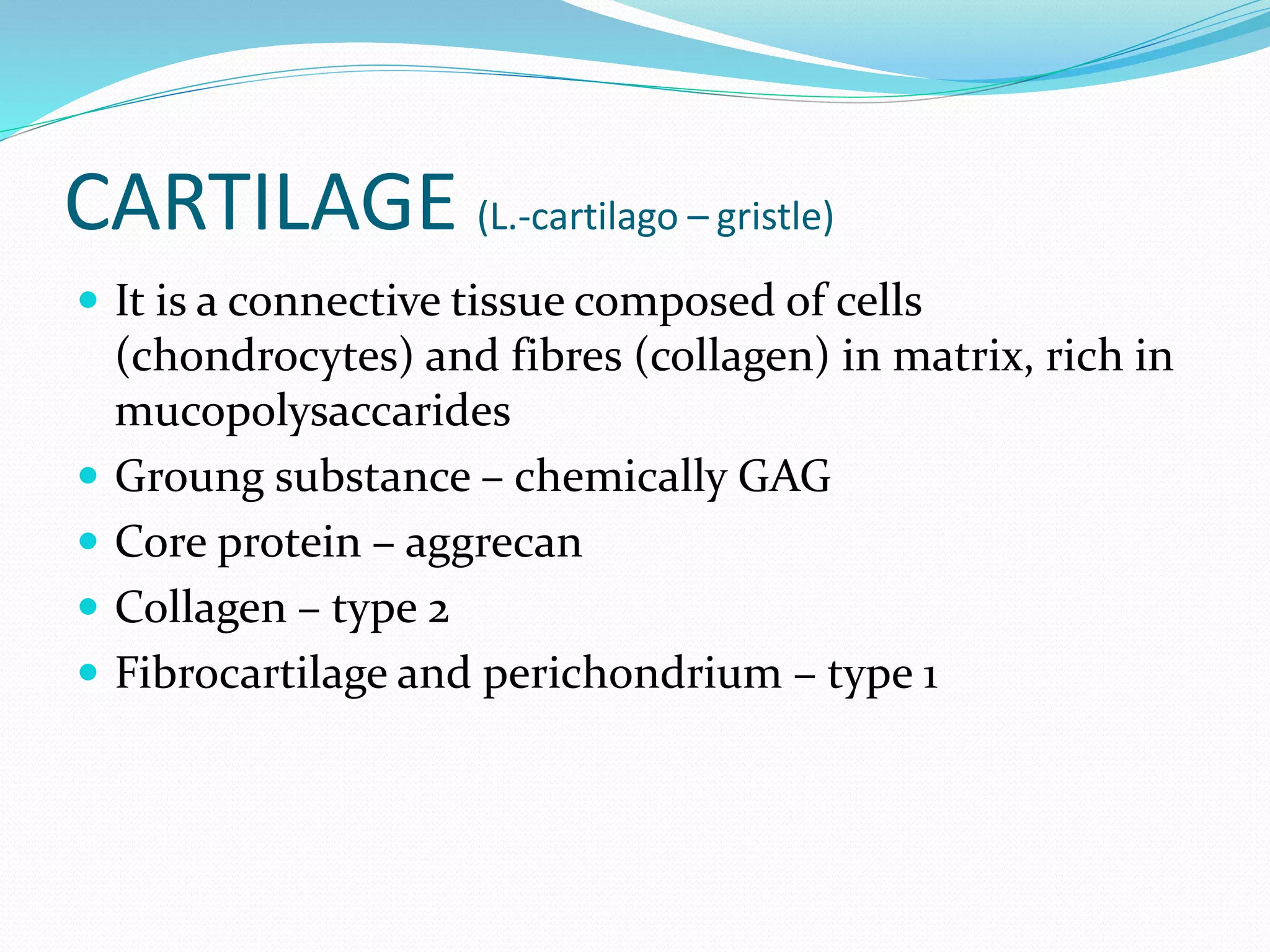 Anatomy of Bone and Cartilage | PPT