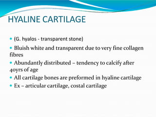 Anatomy of Bone and Cartilage | PPT