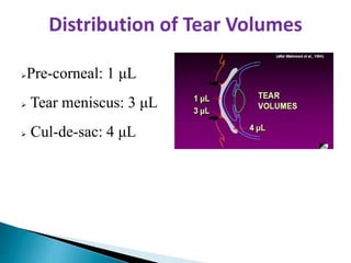 2 anatomy(Ant.segment-2) .pptx