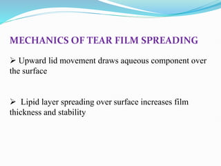 2 anatomy(Ant.segment-2) .pptx