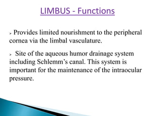 2 anatomy(Ant.segment-2) .pptx