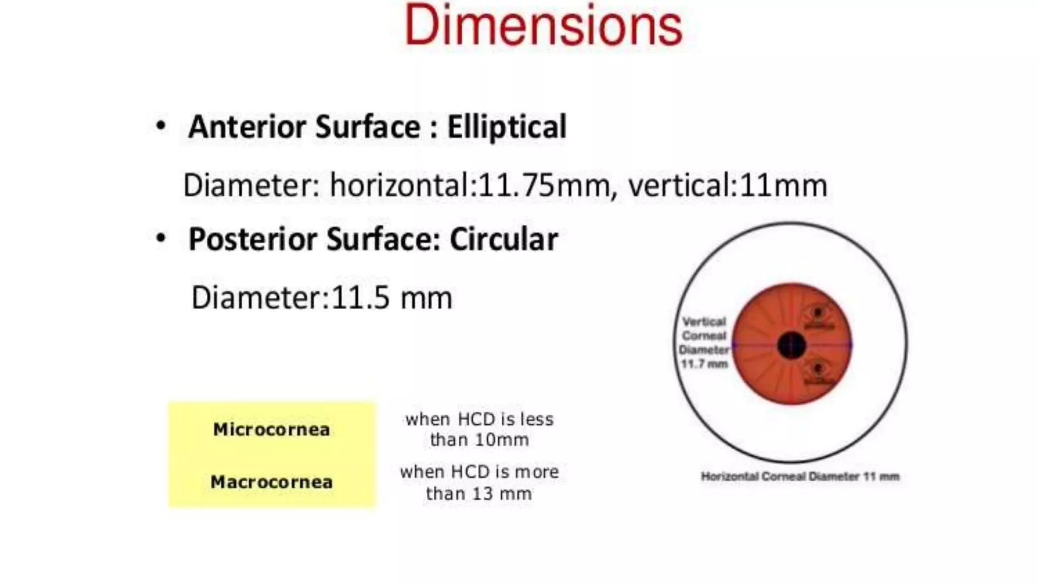 ANATOMY OF CORNEA | PPTX