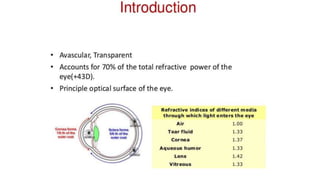 ANATOMY OF CORNEA | PPTX