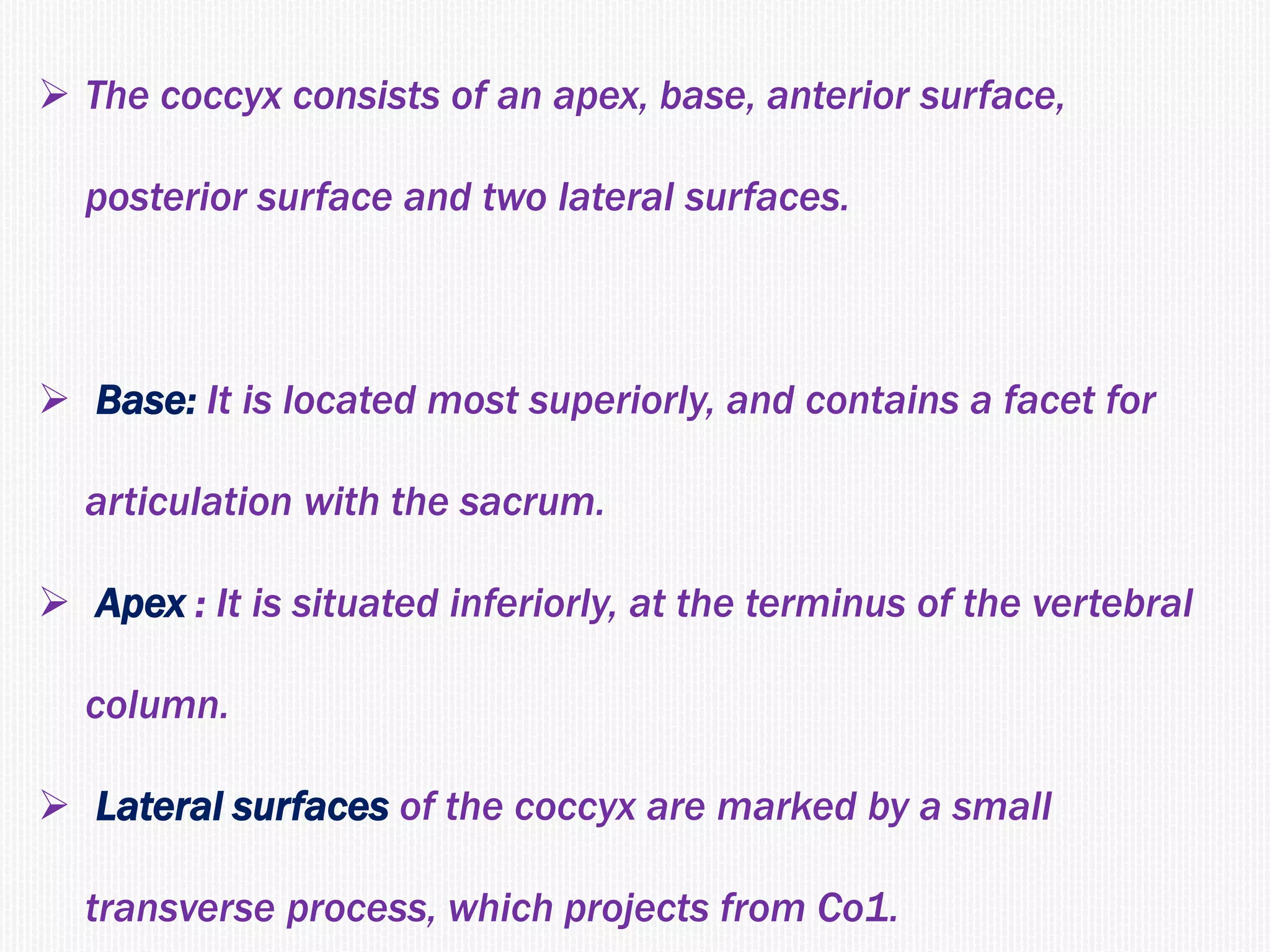 2 anatomy of ls coccyx and sacrum | PPTX
