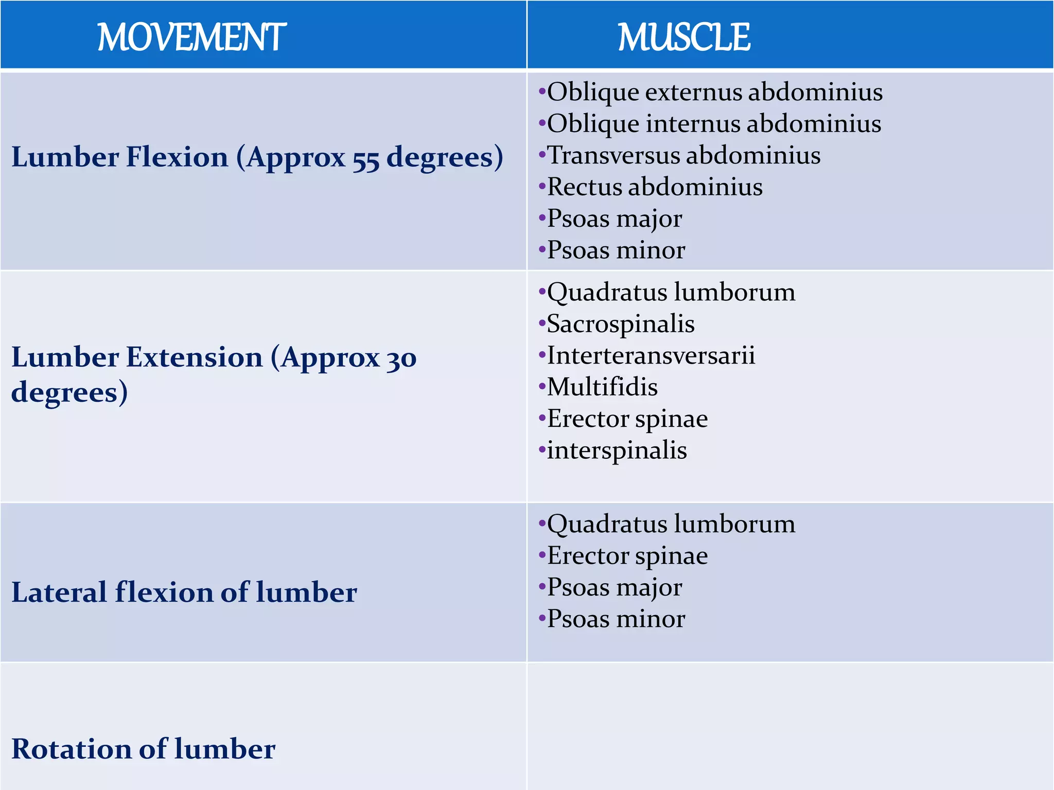 Anatomy of lumber spine Nishant kumar gaurav | PPTX