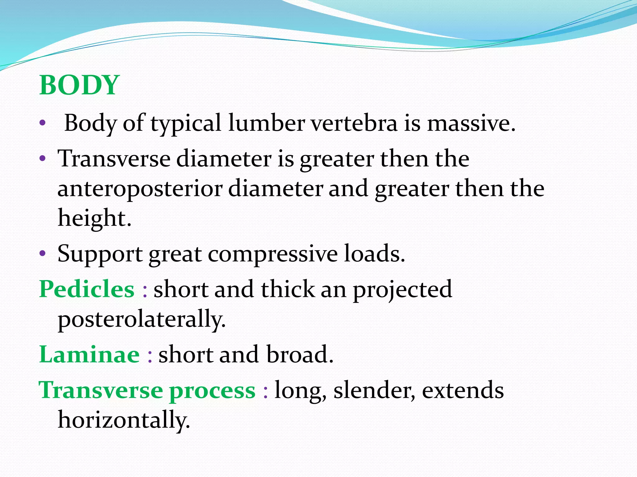 Anatomy of lumber spine Nishant kumar gaurav | PPTX