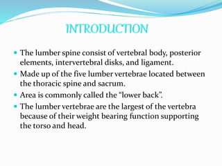 Anatomy of lumber spine Nishant kumar gaurav | PPTX