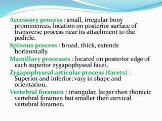 Anatomy of lumber spine Nishant kumar gaurav | PPTX | Death, Injury, or ...