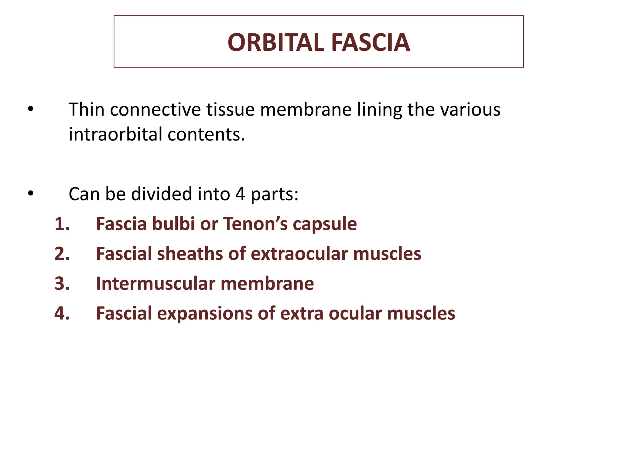 Anatomy of orbit and its clinical applications. | PPTX