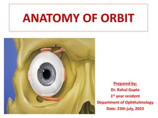 Anatomy of orbit and its clinical applications. | PPTX