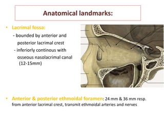 Anatomy of orbit and its clinical applications. | PPTX