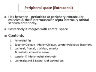 Anatomy of orbit and its clinical applications. | PPTX