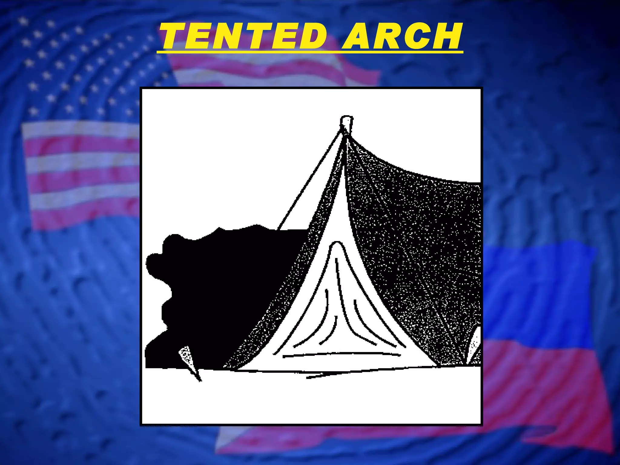 Fingerprint Classification - Arch Patterns | PPT