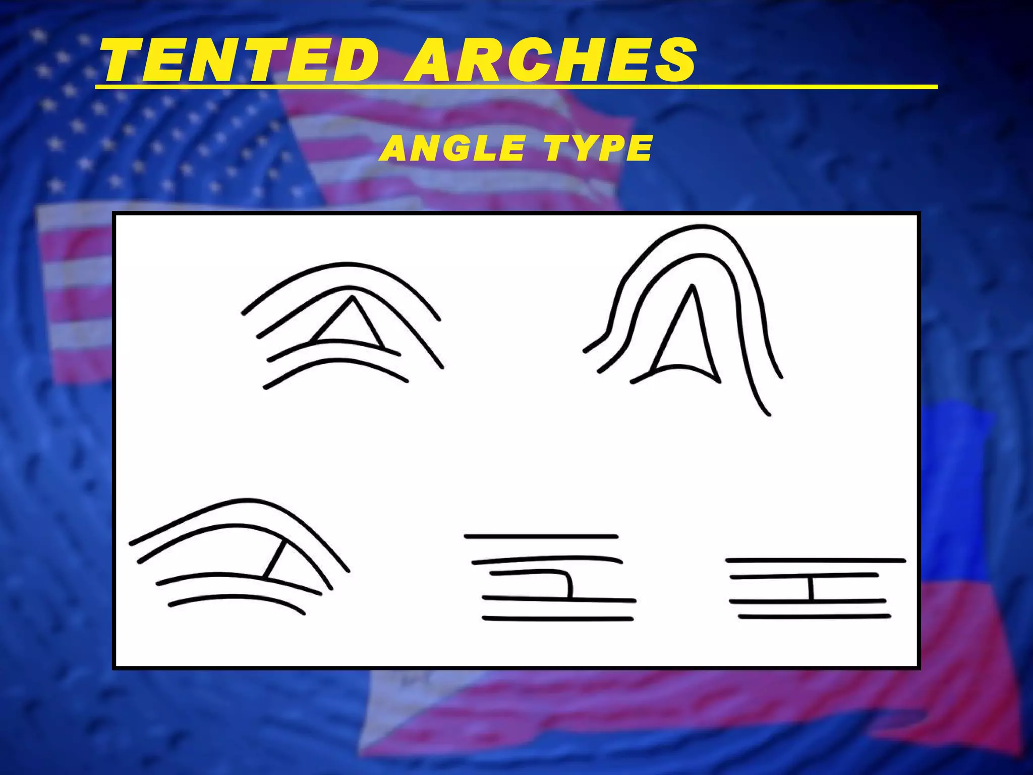 Fingerprint Classification - Arch Patterns | PPT