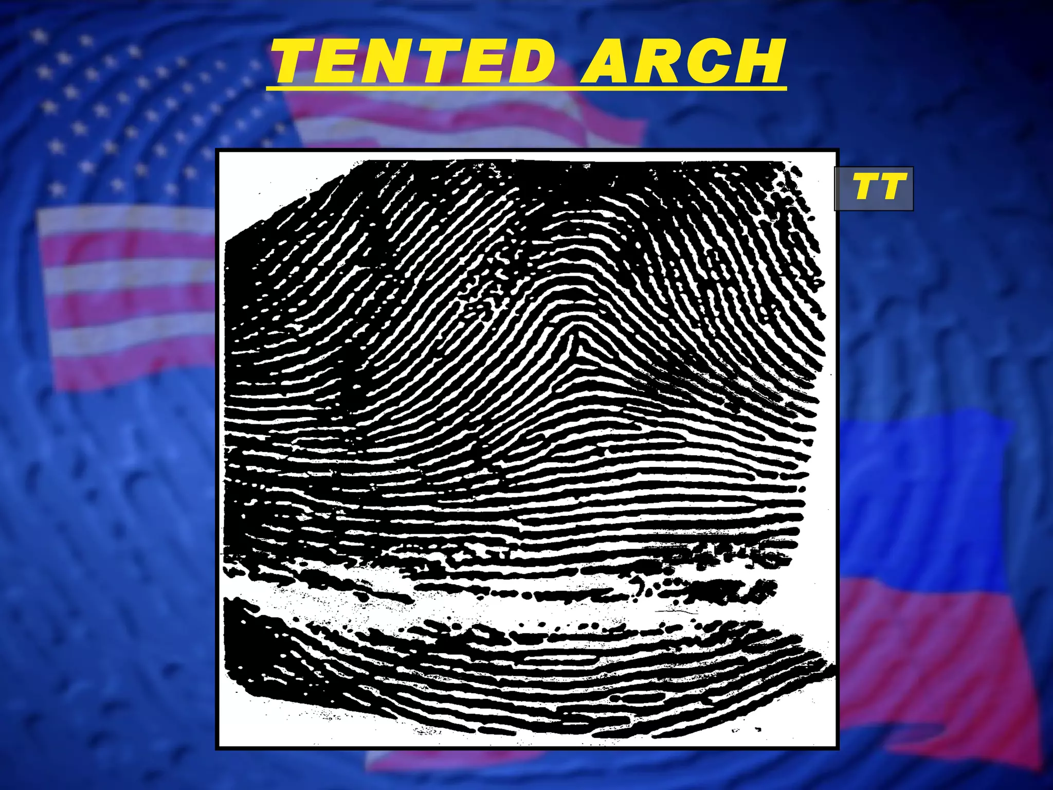 Fingerprint Classification - Arch Patterns | PPT