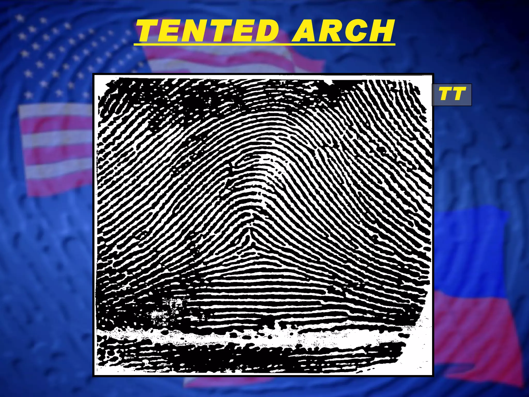 Fingerprint Classification - Arch Patterns | PPT