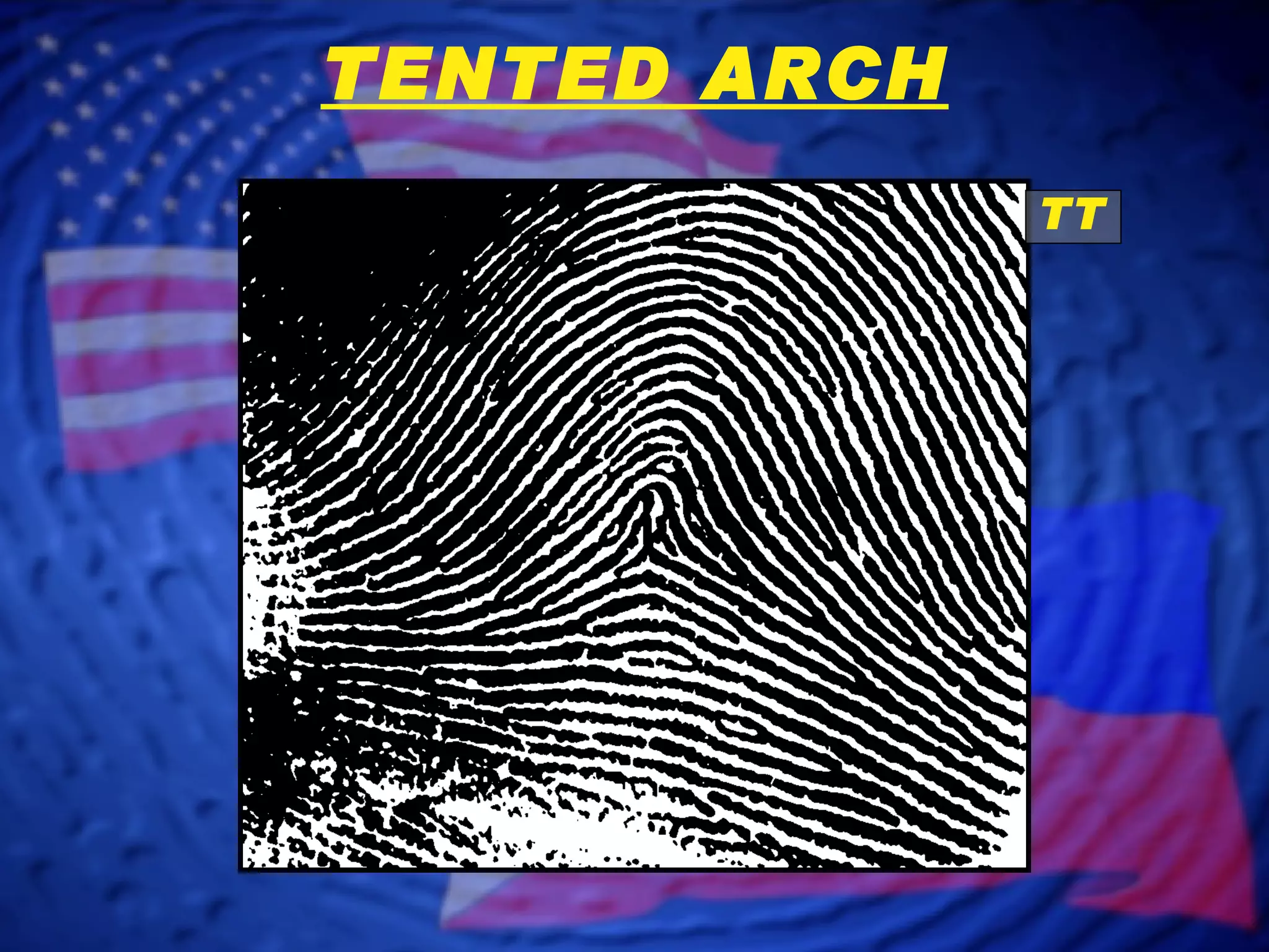 Fingerprint Classification - Arch Patterns | PPT