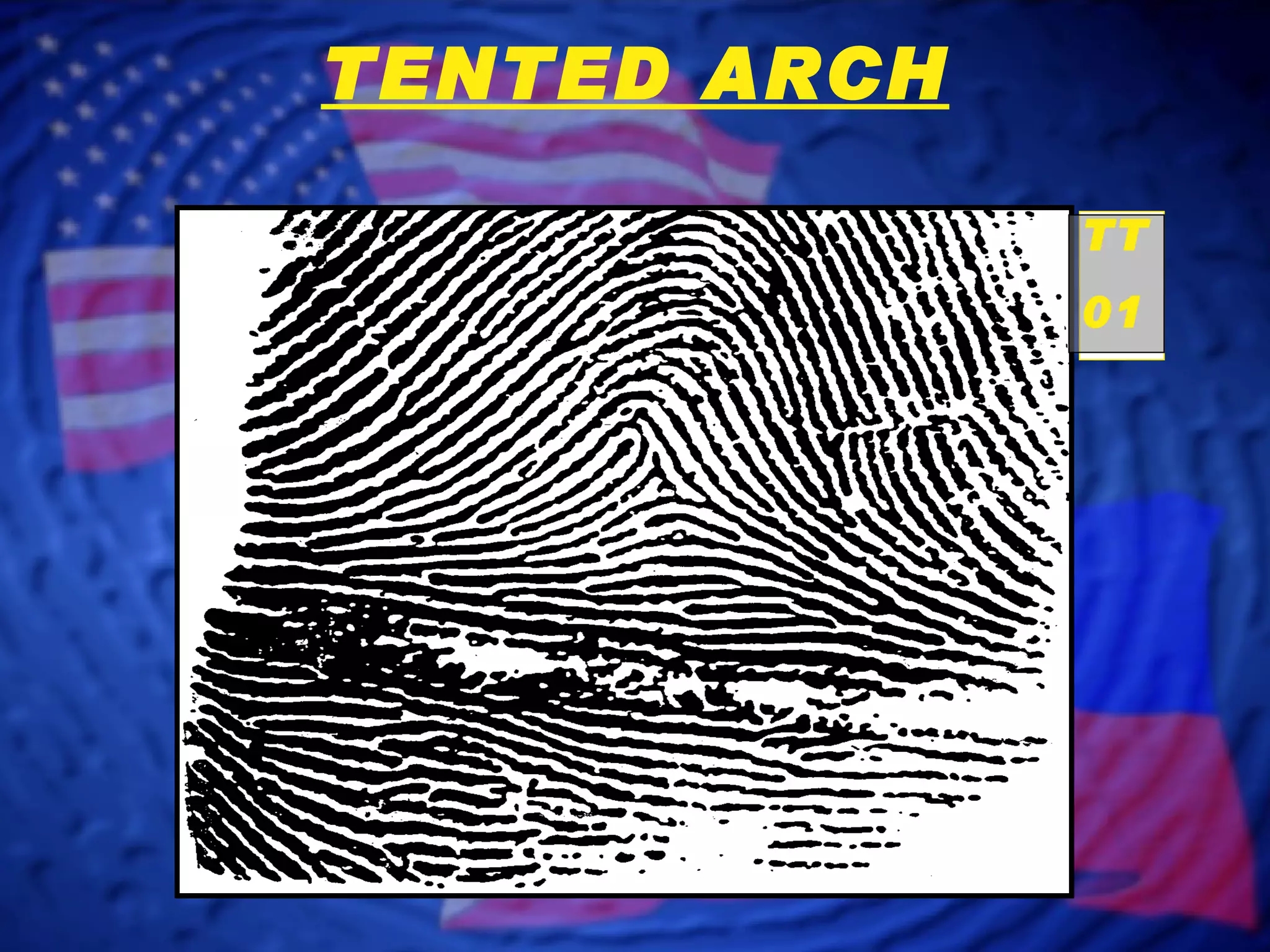 Fingerprint Classification - Arch Patterns | PPT