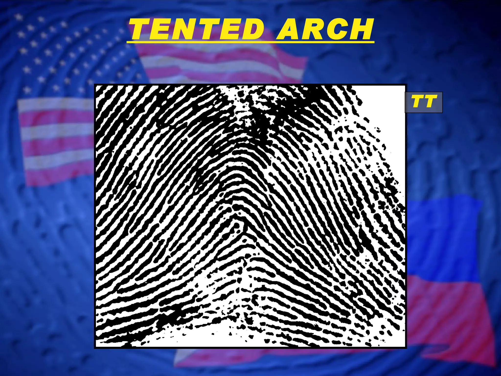 Fingerprint Classification - Arch Patterns | PPT
