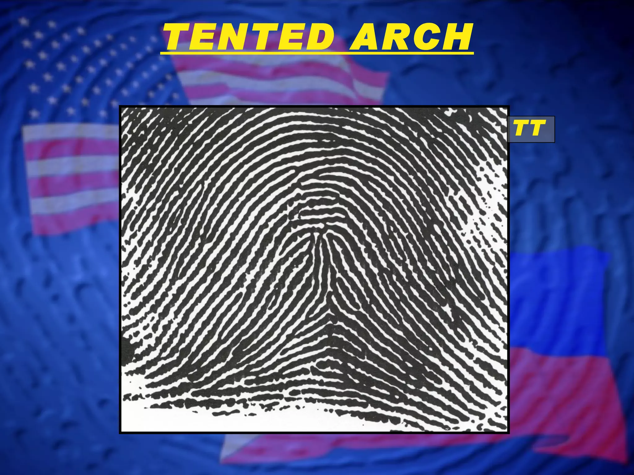 Fingerprint Classification - Arch Patterns | PPT