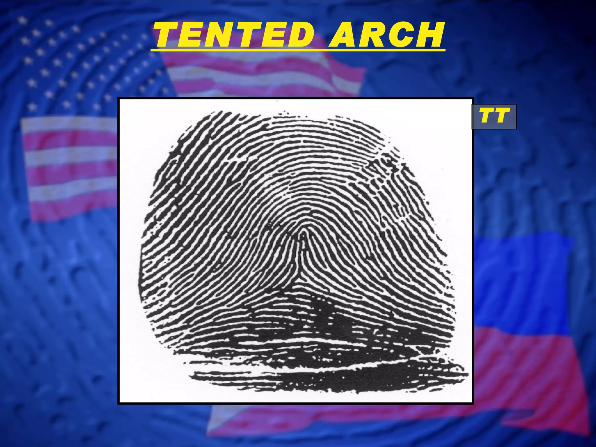 Fingerprint Classification - Arch Patterns | PPT