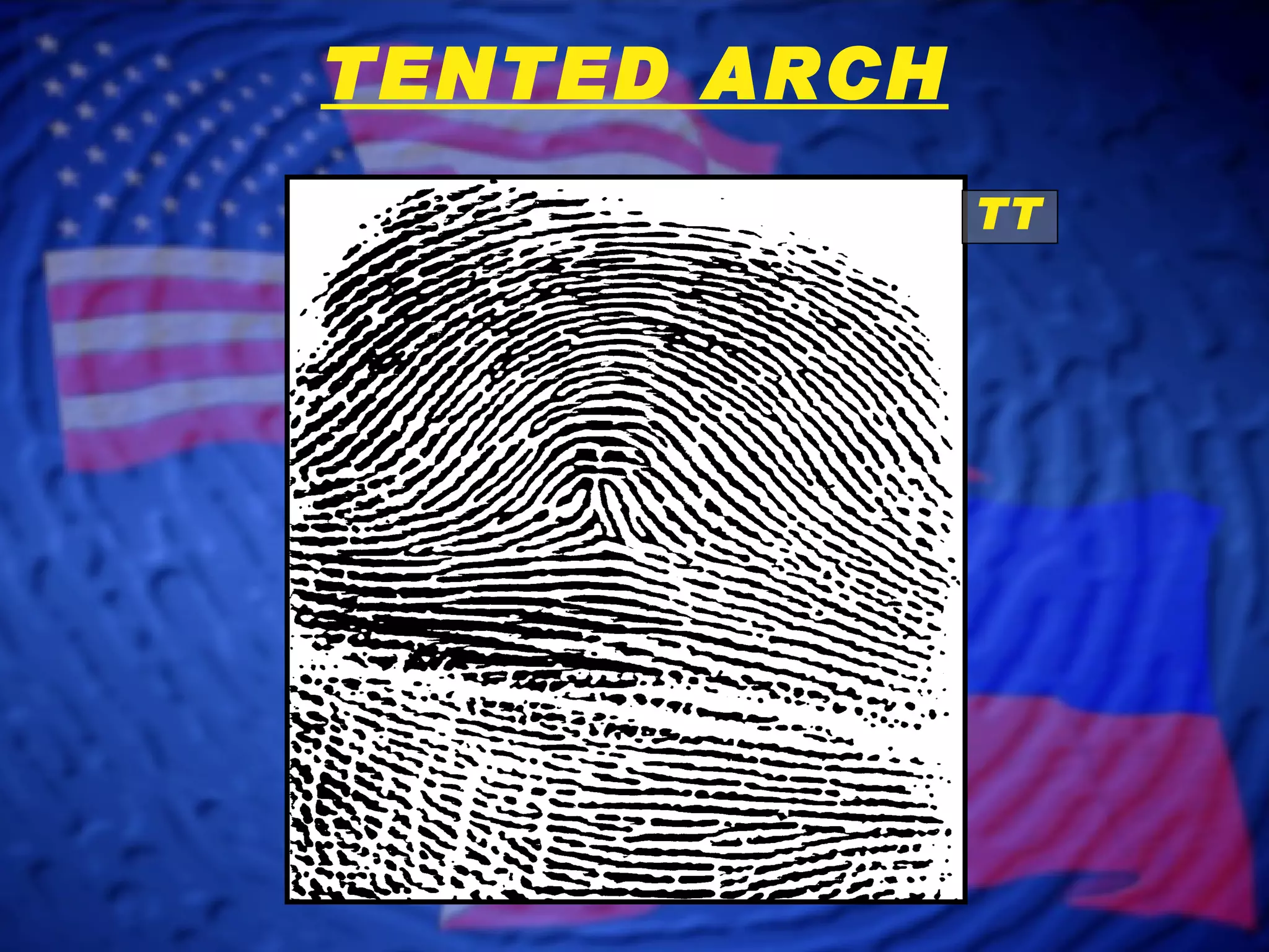 Fingerprint Classification - Arch Patterns | PPT