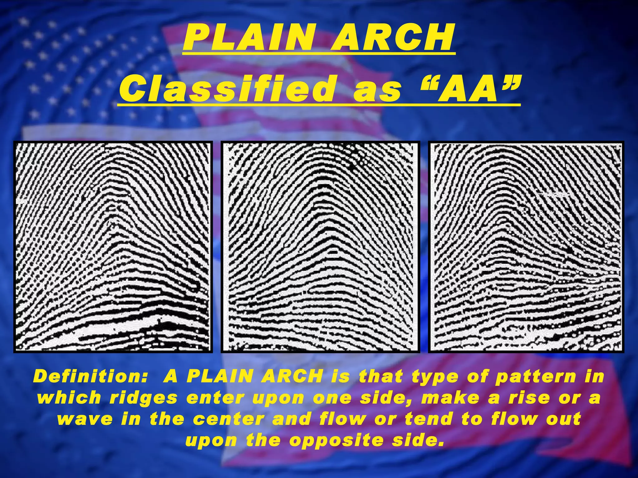 Fingerprint Classification - Arch Patterns | PPT