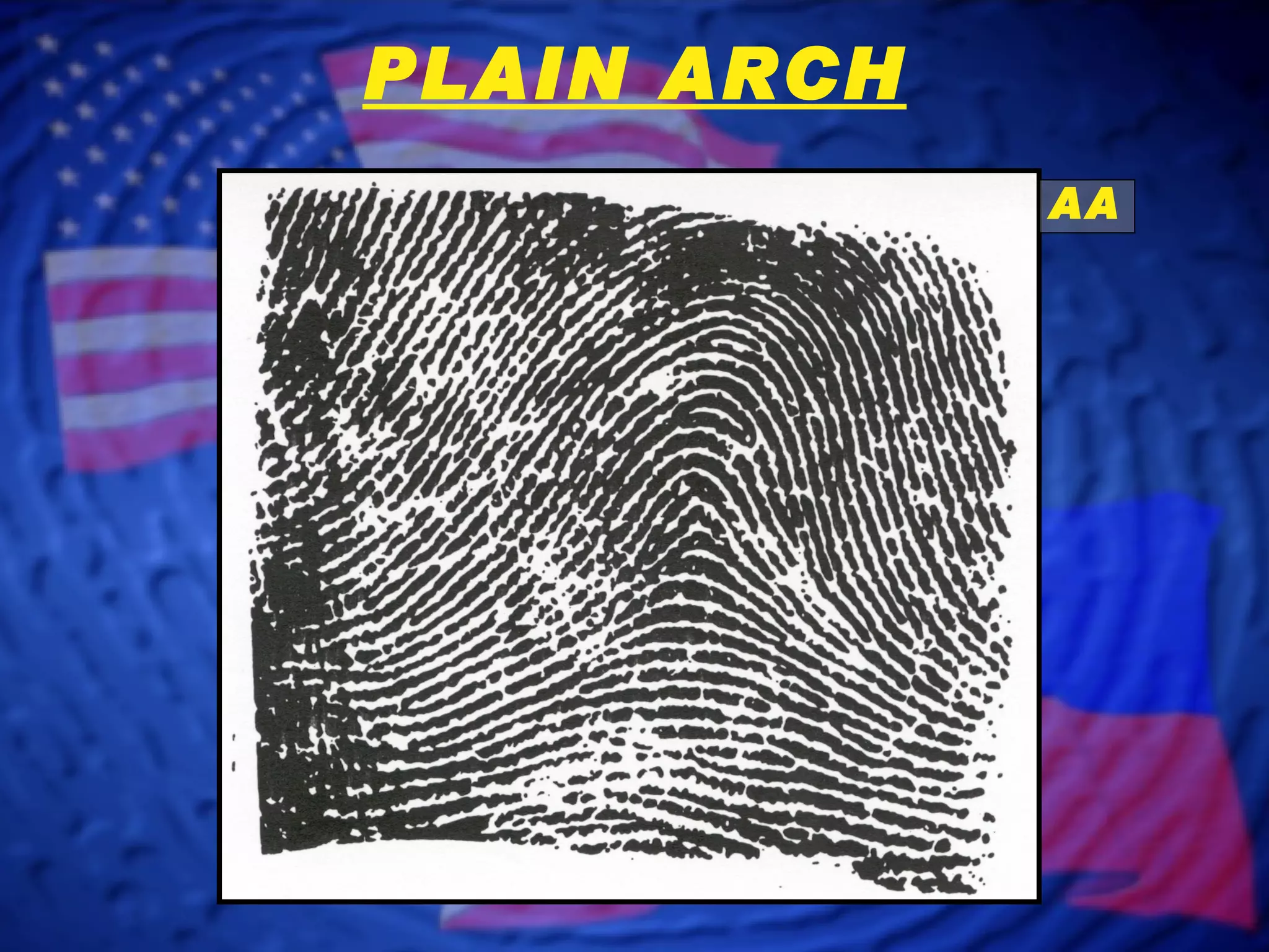 Fingerprint Classification - Arch Patterns | PPT