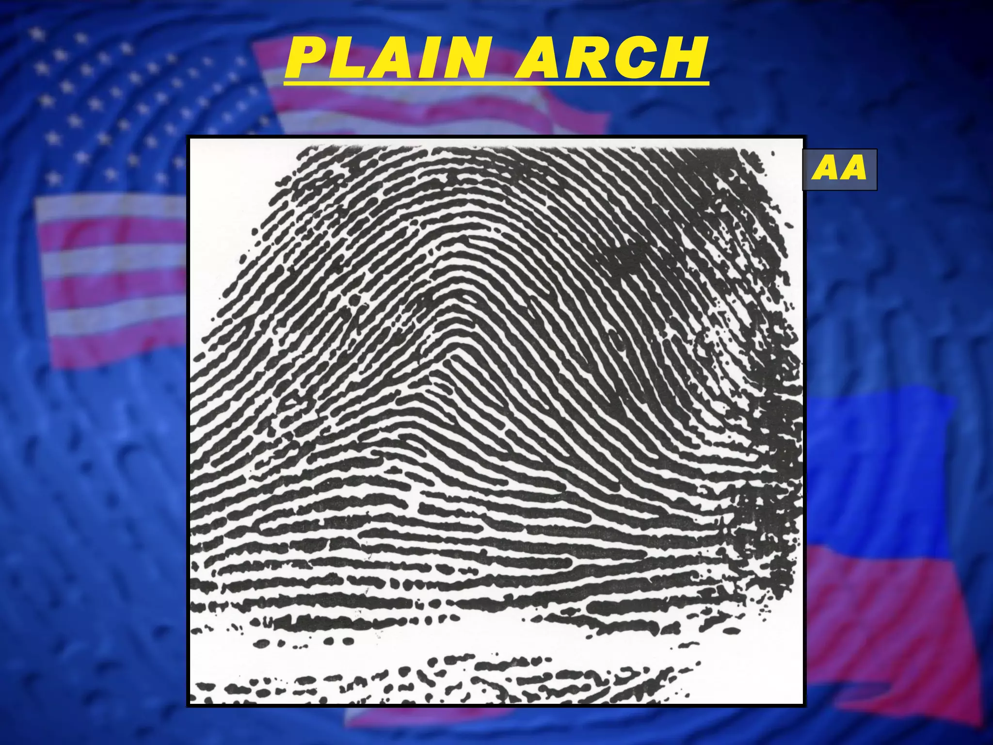 Fingerprint Classification - Arch Patterns | PPT