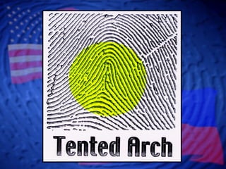 Fingerprint Classification - Arch Patterns | PPT