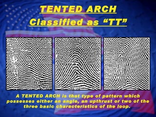 Fingerprint Classification - Arch Patterns | PPT
