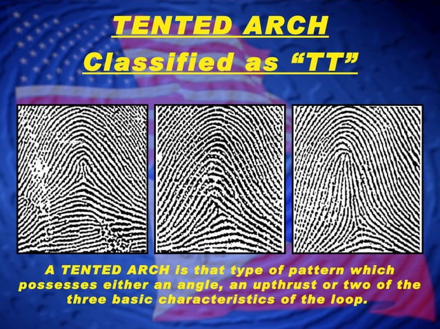 Fingerprint Classification - Arch Patterns | PPT