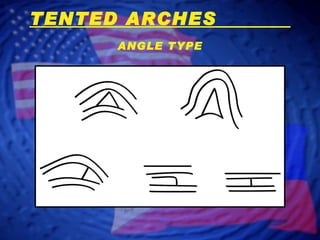 Fingerprint Classification - Arch Patterns | PPT