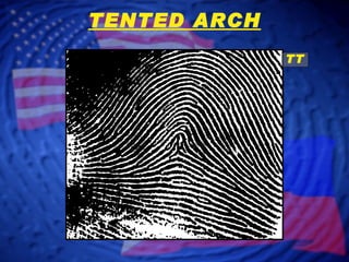 Fingerprint Classification - Arch Patterns | PPT