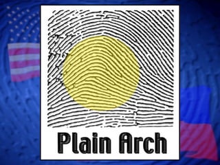 Fingerprint Classification - Arch Patterns | PPT