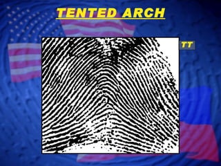 Fingerprint Classification - Arch Patterns | PPT
