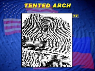 Fingerprint Classification - Arch Patterns | PPT