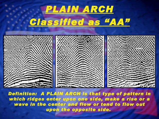 Fingerprint Classification - Arch Patterns | PPT