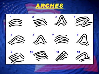 Fingerprint Classification - Arch Patterns | PPT