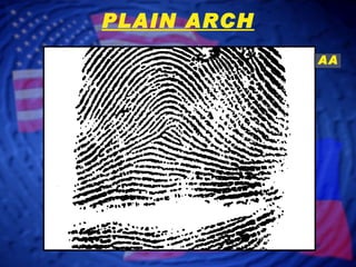 Fingerprint Classification - Arch Patterns | PPT