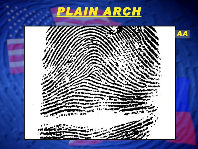 Fingerprint Classification - Arch Patterns | PPT