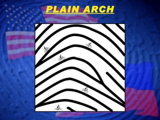Tented Arch Fingerprint