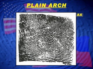 Fingerprint Classification - Arch Patterns | PPT