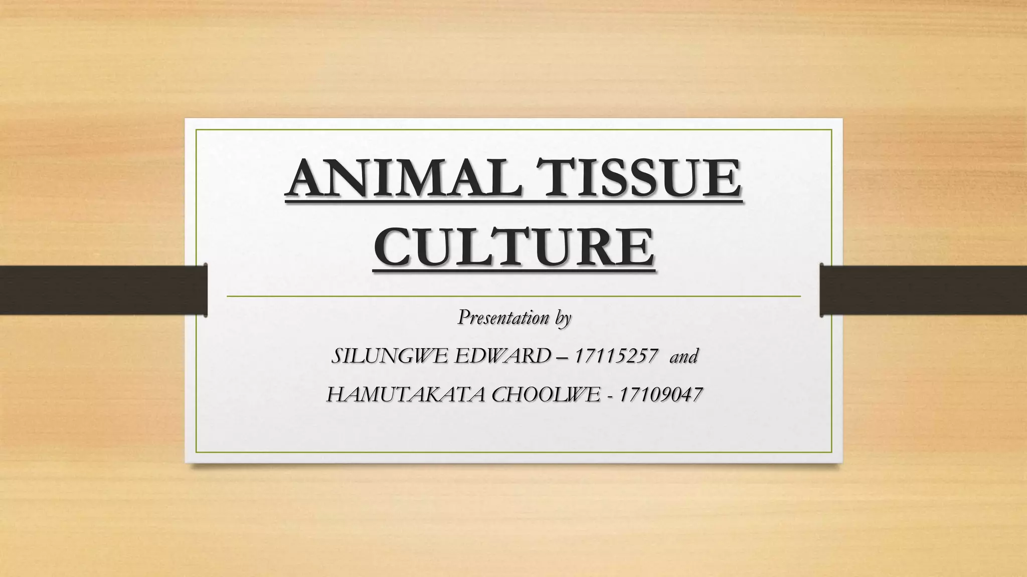 Animal tissue culture-BIOTECH -Copperbelt University,kitwe-Zambia | PPTX