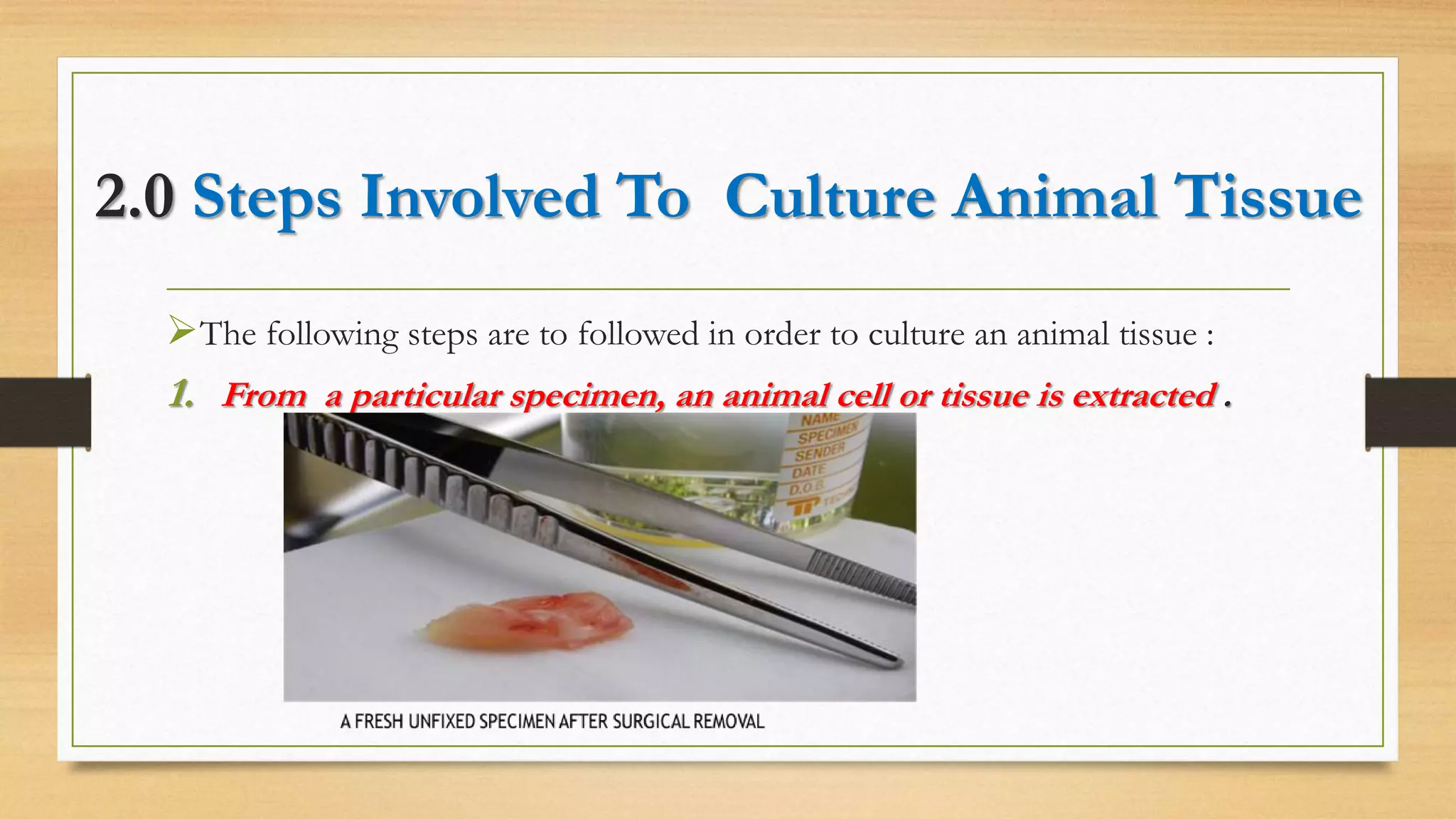 Animal tissue culture-BIOTECH -Copperbelt University,kitwe-Zambia | PPTX