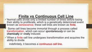 Animal tissue culture-BIOTECH -Copperbelt University,kitwe-Zambia | PPTX