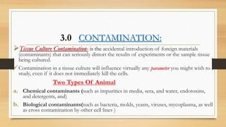 Animal tissue culture-BIOTECH -Copperbelt University,kitwe-Zambia | PPTX