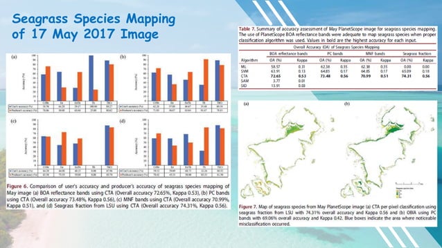 Assessment of Planet Scope Images for Benthic Habitat and Seagrass ...