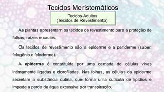 2º ANO - HISTOLOGIA VEGETAL.pptx